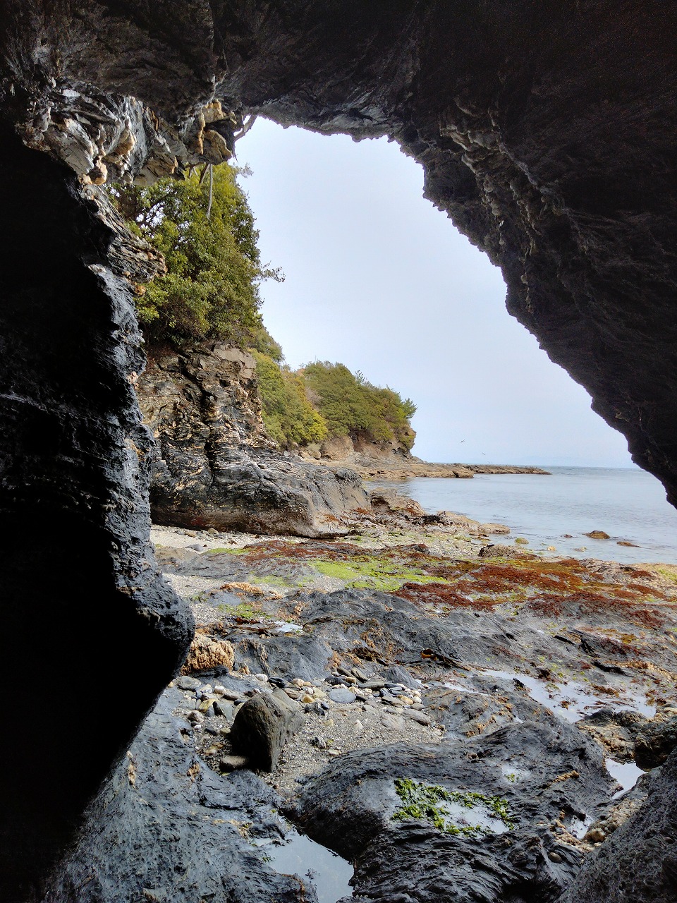 a walk to a small sea cave｜着物アクティビティ 川道商店 大分